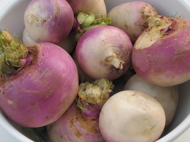 How to store turnips - Food With Kid Appeal